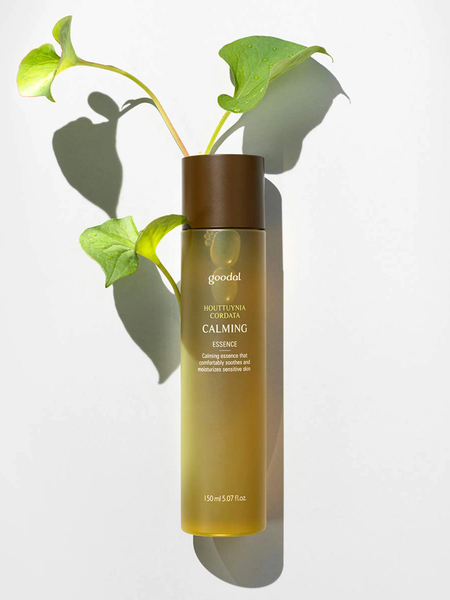 GOODALHouttuynia Cordata Calming Essence - Glow Time